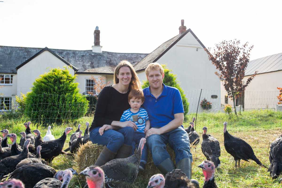 Our Story 3 - Pale Farm